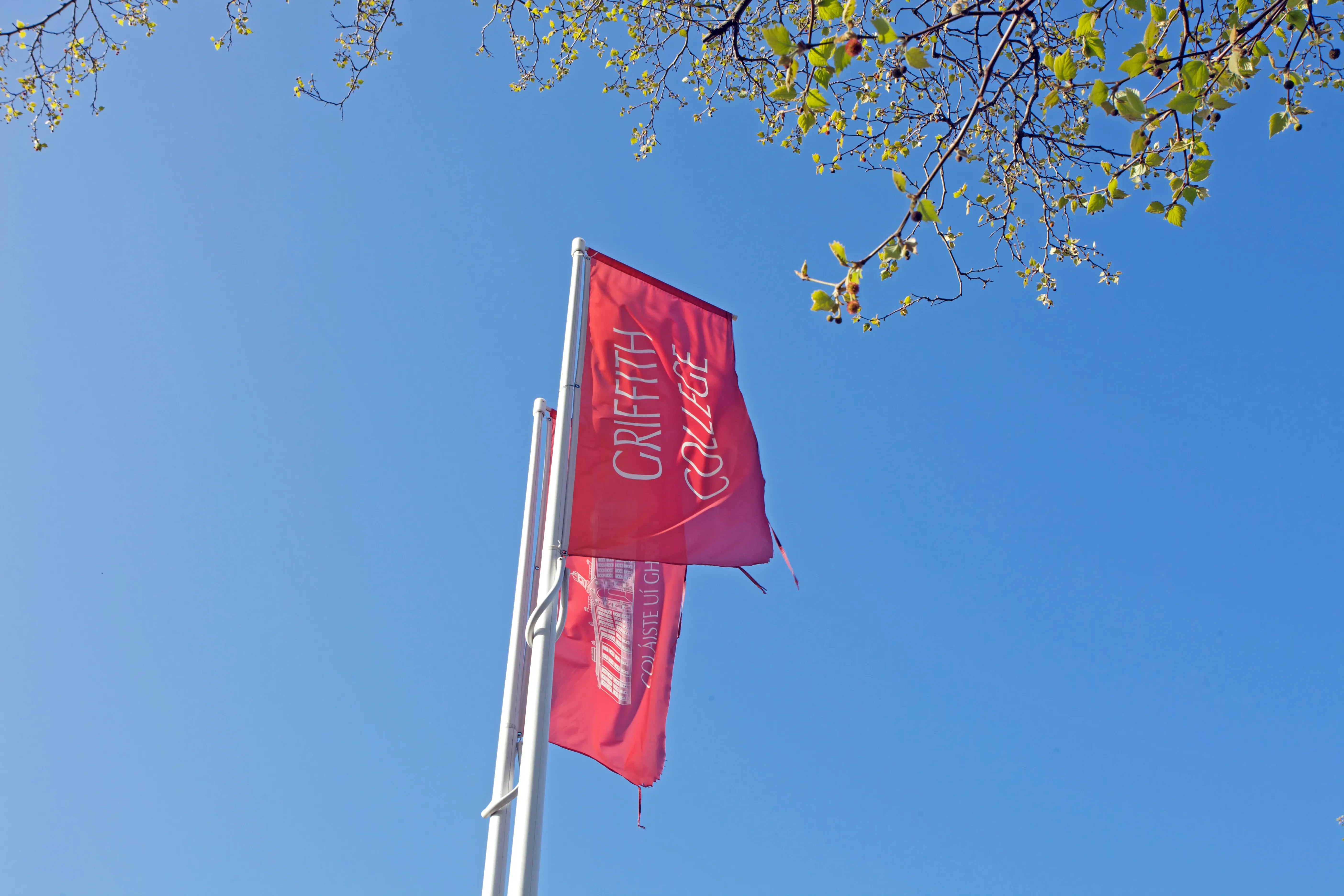 img_0711-3.jpg | Griffith College