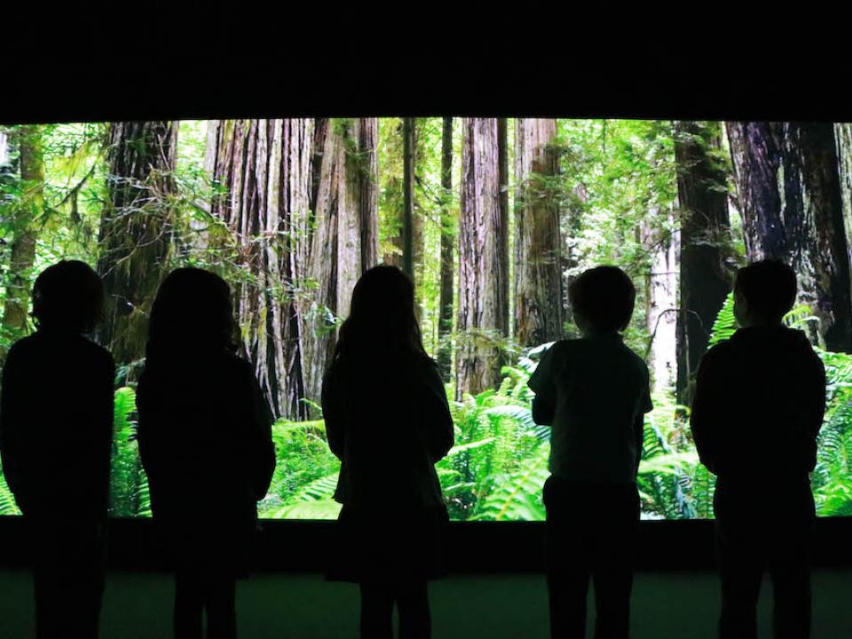Interior Architect alumna Heather Dowling: “Ultimately museum design is ...